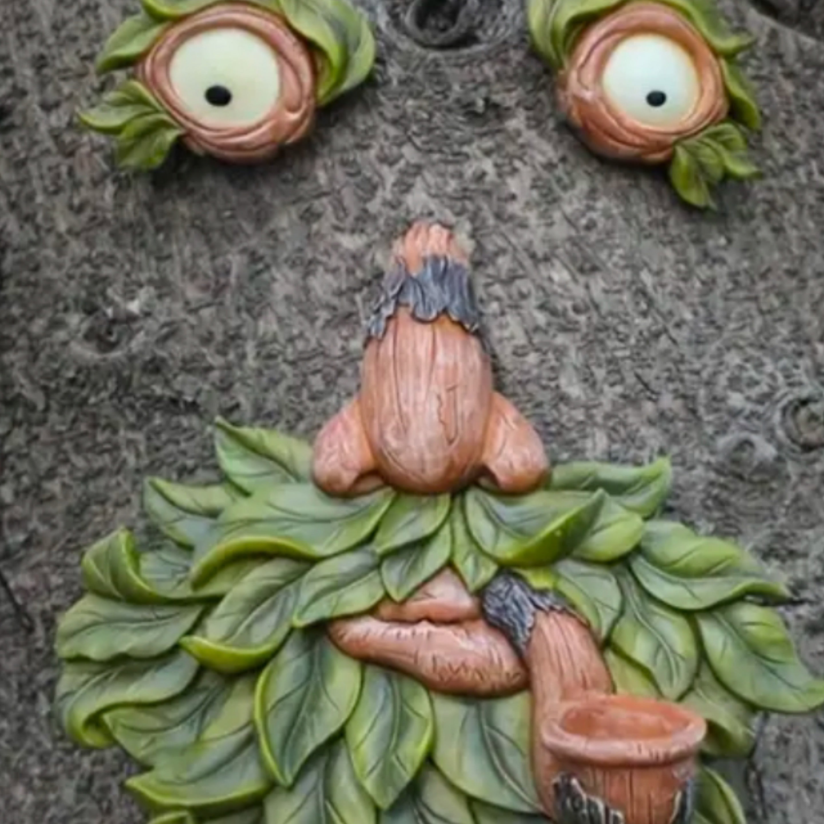 Pipe Tree Face | Hopkins Nursery