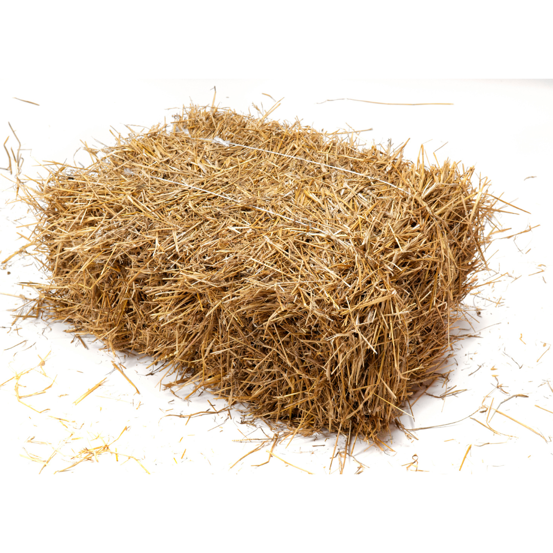 Decorative Fall Hay Bales for Seasonal Displays | Hopkins Nursery